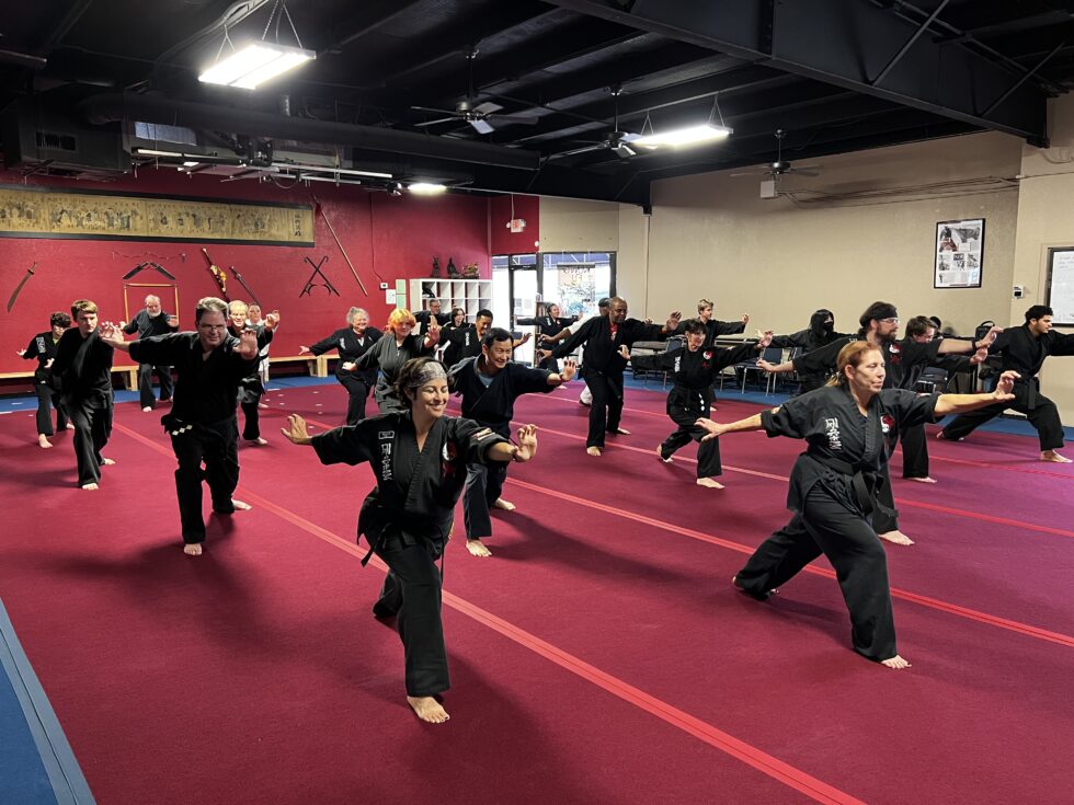 Austin Kung Fu Classes For Adults & Kids | 30 Years In ATX